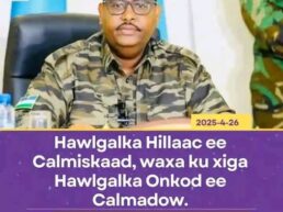 Berberatoday.com | Berbera Today – Warar Xaqiiqo ah