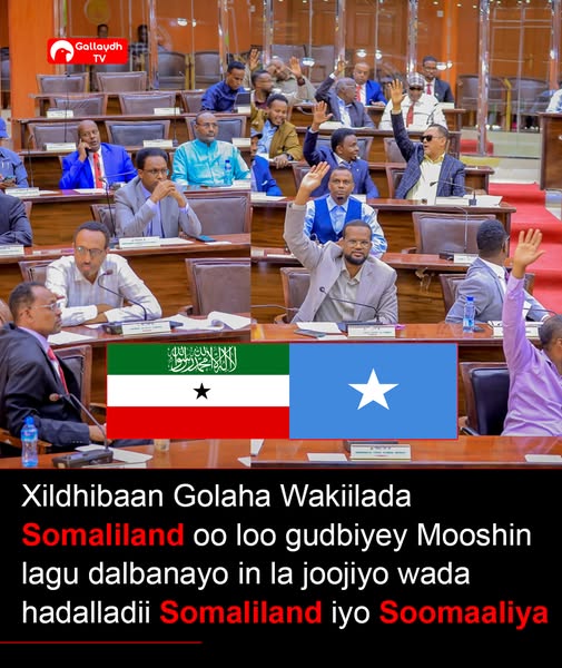 Golaha Wakiilada Somaliland oo Saaka La Horgeeyay Mooshin Lagu Joojinayo Gabi Ahaanba Wada ...